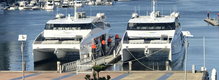 Port Phillip Ferries | Little Group